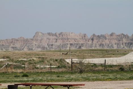 Badlands Budget Host, Interior, SD